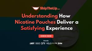 Understanding Nicotine Absorption: How Pouches Deliver a Satisfying Ex